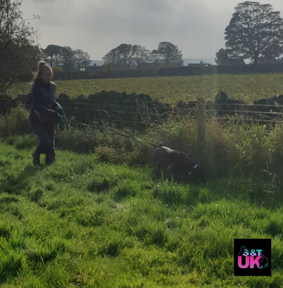 Tracking – Scent and Track UK