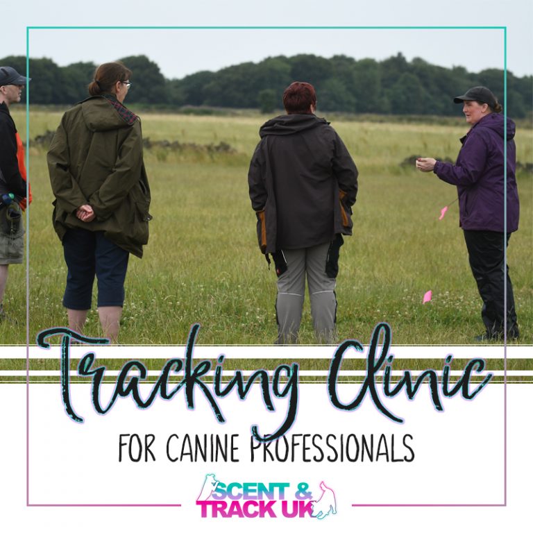 Tracking Clinic for Canine Professionals – Scent and Track UK